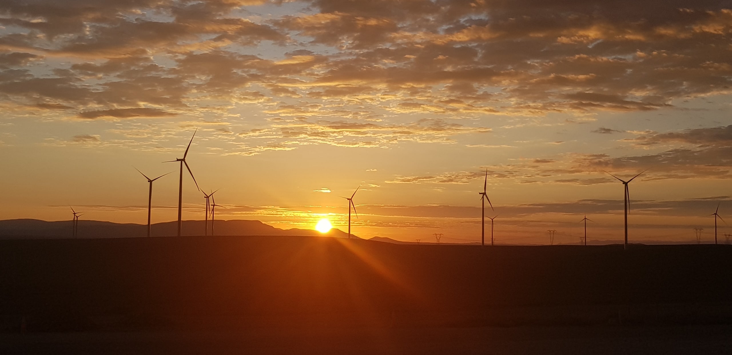 LOCAL STUDENT ACHIEVES ACADEMIC SUCCESS | Perdekraal East Wind Farm